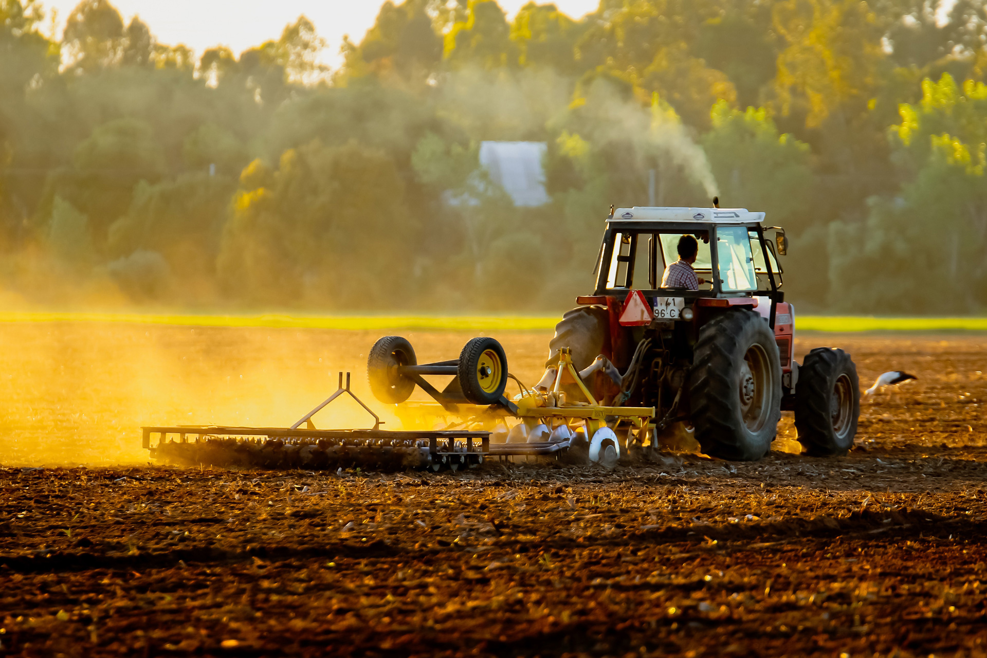 Valorisation agricole des matières organiques fertilisantes locales à ...